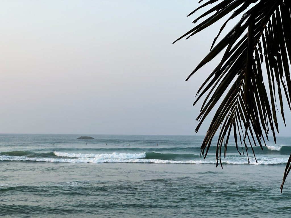 The Rock Kabalana Surf Spot Guide, Forecast, Webcam & more